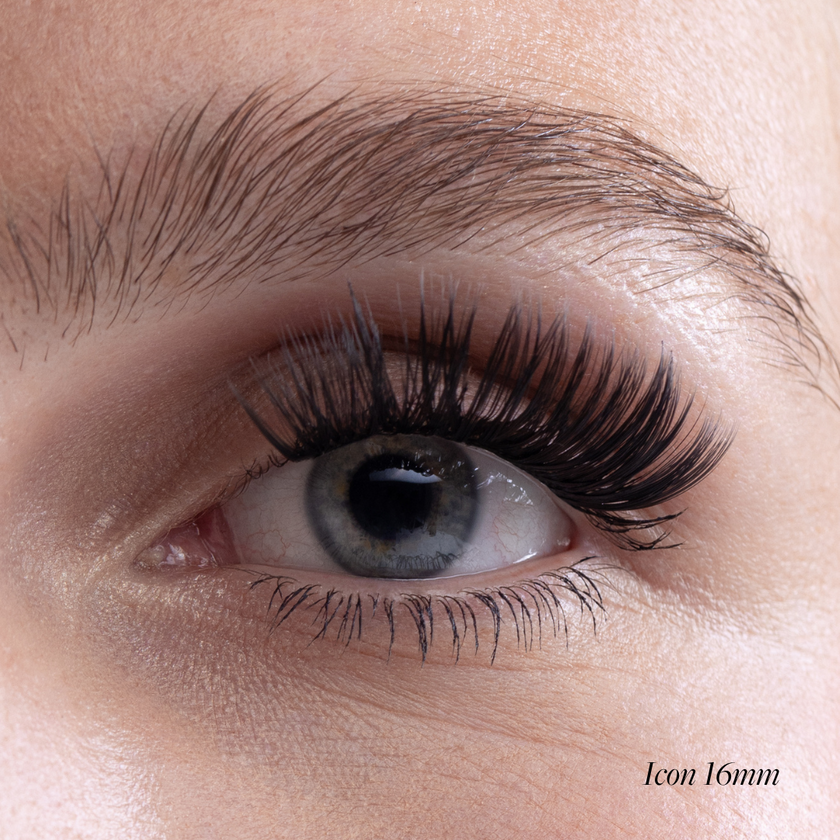 Fast Lash Starter Kit – bylashbabe