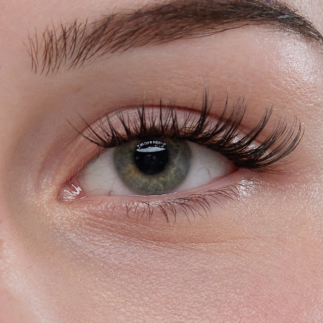 Fast Lash Starter Kits – bylashbabe